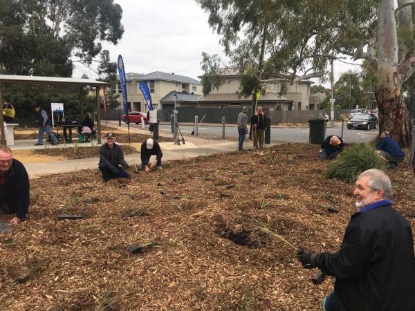 The Brighton Pump Track Opens | Terrain Group